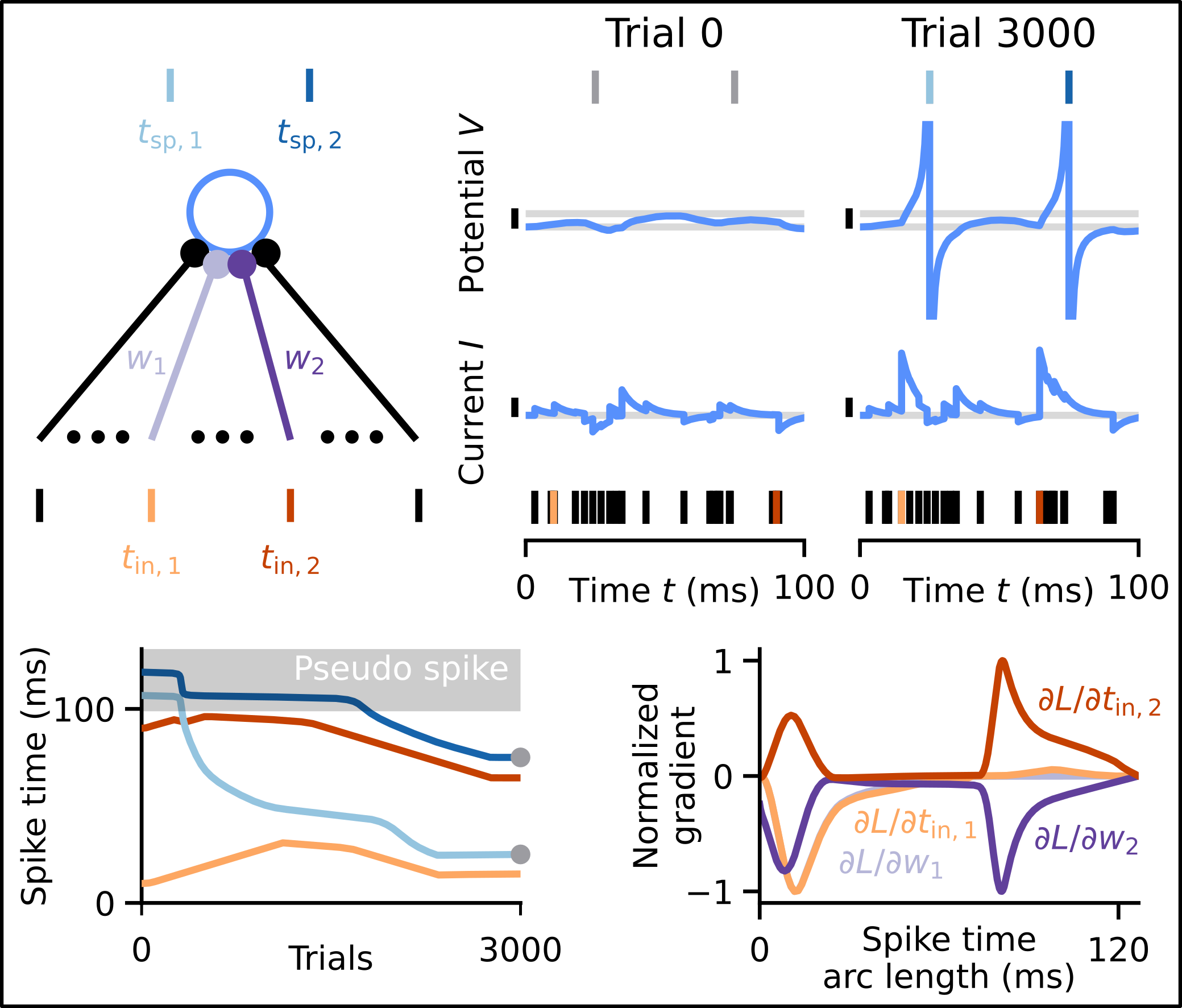 Publications – Neural network dynamics and computation